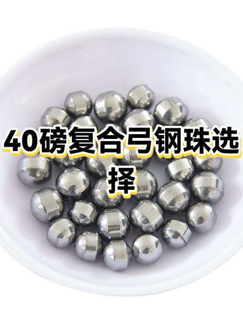 复合弓钢珠两用哪个品牌好一点图标