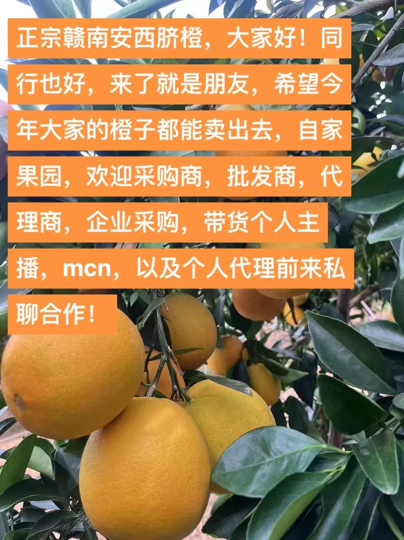 橙分期两年合约到期如何解除图标