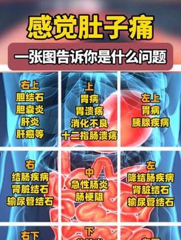 站久了肚子疼是啥原因图标