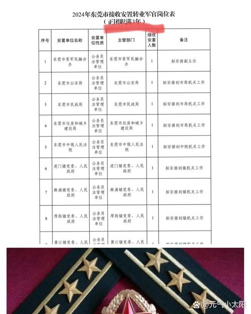 大校军衔是什么级别图标