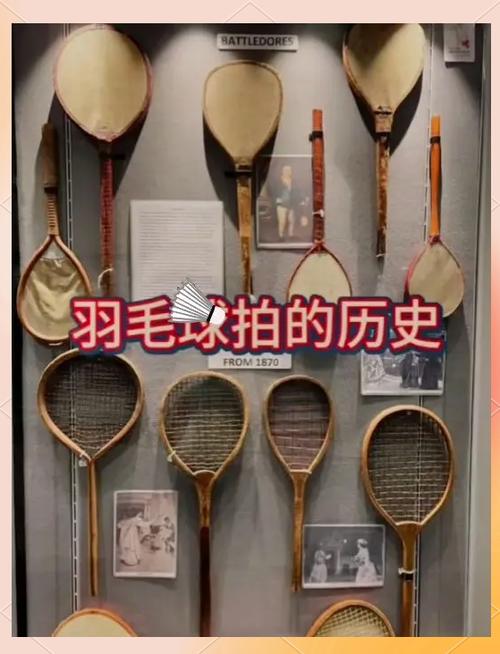 羽毛球拍的寿命一般是几年图标