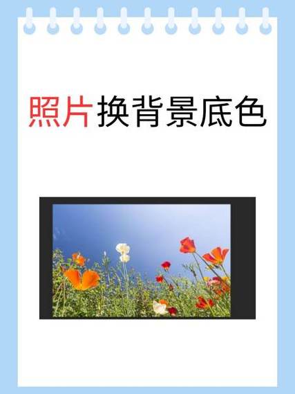 魔幻变变变多少时候换一次照片下载图标