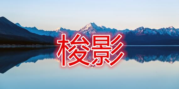 梭影安卓版apk截图