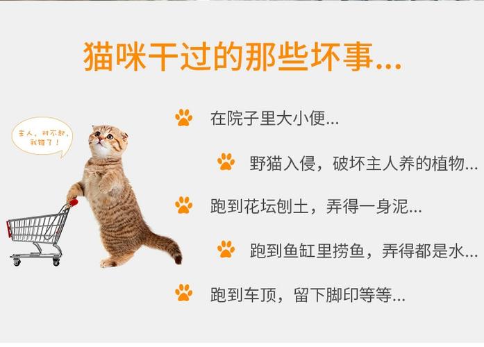 猫最怕什么东西驱赶猫图标