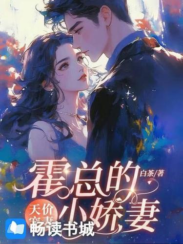 天价宠妻:霍总的小娇妻小说免费阅读图标