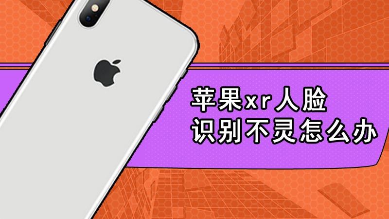 iphonexr突然无法识别面部图标