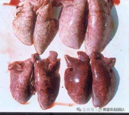 蓝牙耳机可以调声音大小吗图标