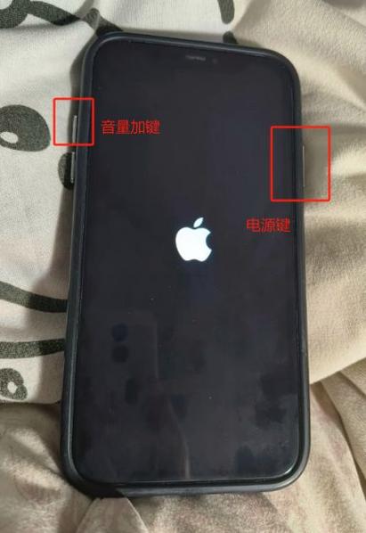 苹果按键声音忽大忽小图标