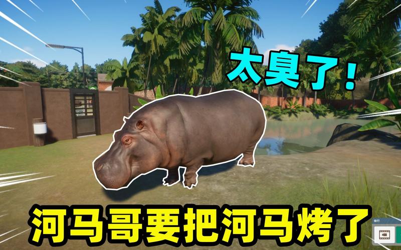 河马哥解说全面模拟器视频截图
