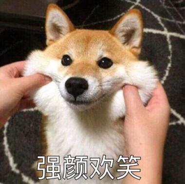 强制表情包图标