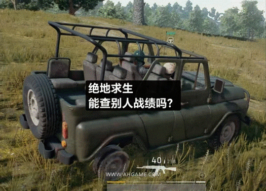 吃鸡咋隐藏战绩截图