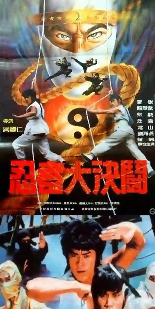 忍者之大电影在线观看图标