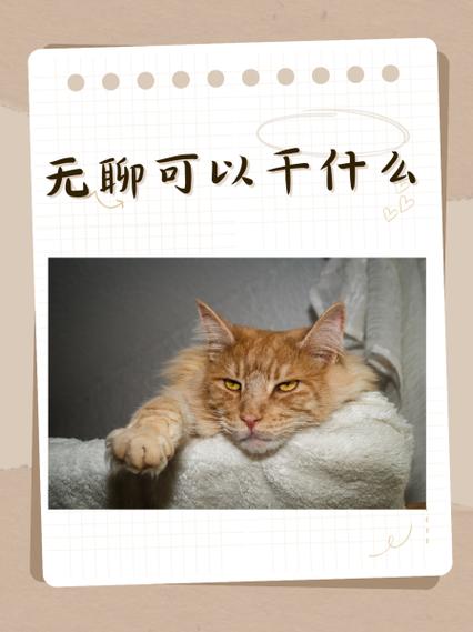 在家闲着无聊可以干什么呢截图