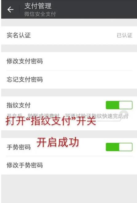 微信没有指纹支付选项图标