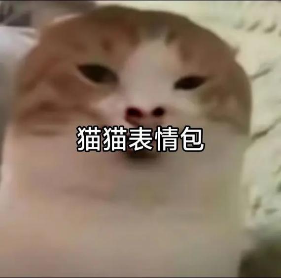 小辫子表情符号和猫咪表情哪个好用图标
