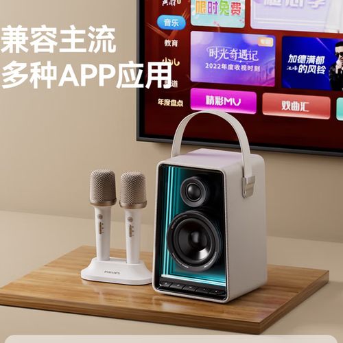 音响内置麦克风有什么用截图