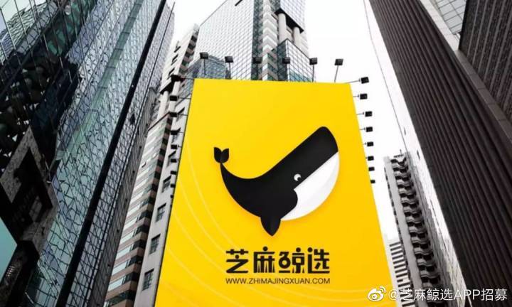 两个芝麻鲸选哪个才是真的