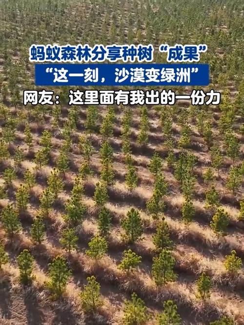 支付宝蚂蚁森林怎么种植树图标