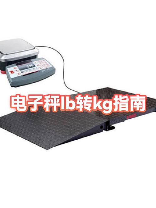 电子秤买什么牌子好图标