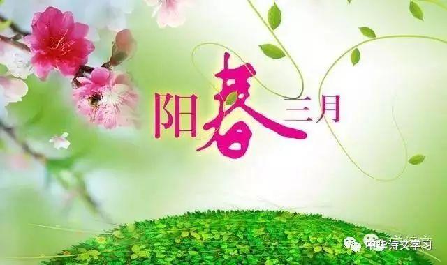 赞美三月的诗句截图