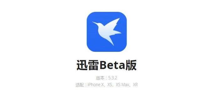 迅雷手机内测破解版截图