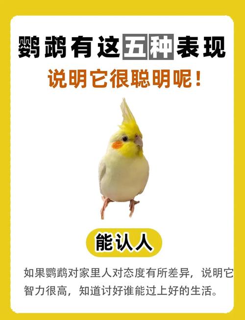 放生鹦鹉是消业障图标