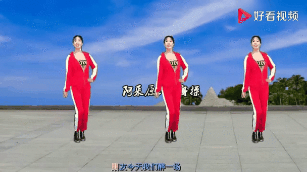 30分钟广场舞图标