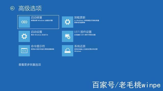 win10重启没有高级选项图标
