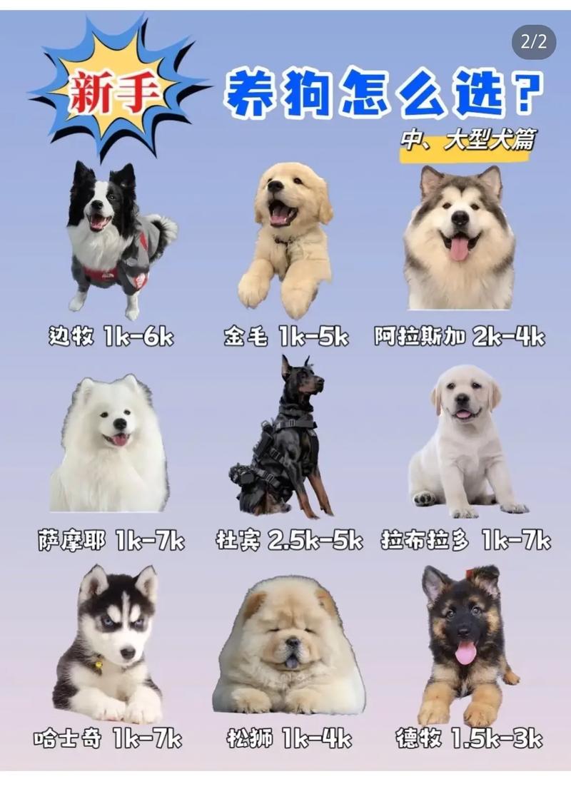 狗屁王3代多少钱图标