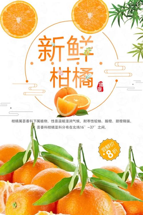 蜜桔宣传语图标