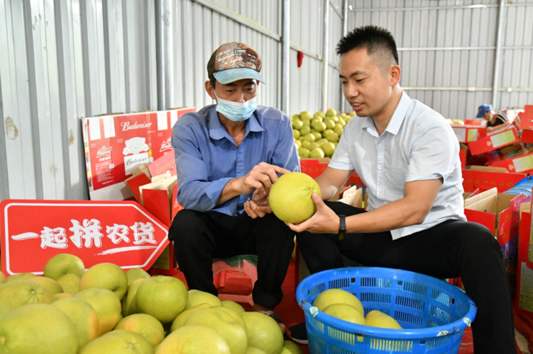 怎么卸载柚子新闻图标
