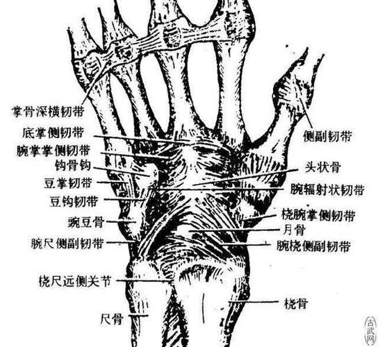 苹果手表显示无法连接iphone图标