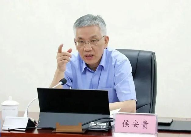 中国宝武集团董事长什么级别图标