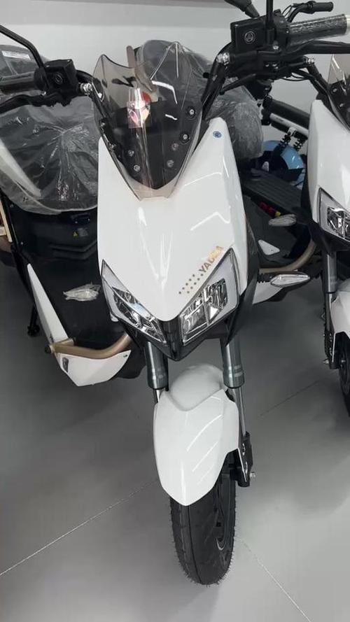 雅迪极光x5图标