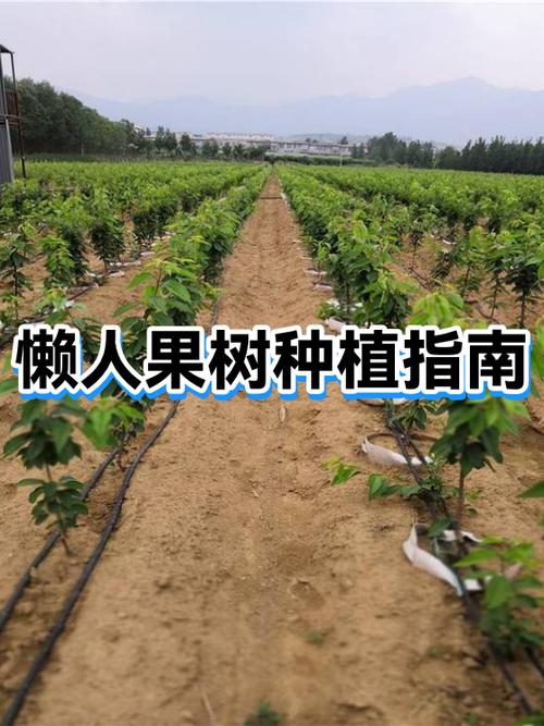 基本农田能不能种果树图标