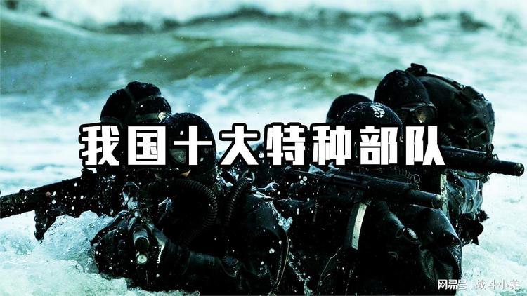 一个特种大队多少人图标