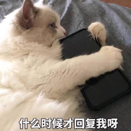 礼貌回复的表情包图标