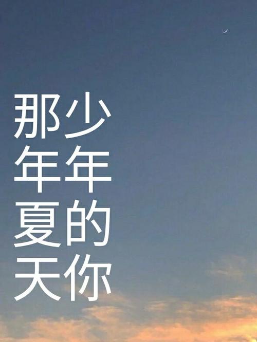 少年的那年夏天图标