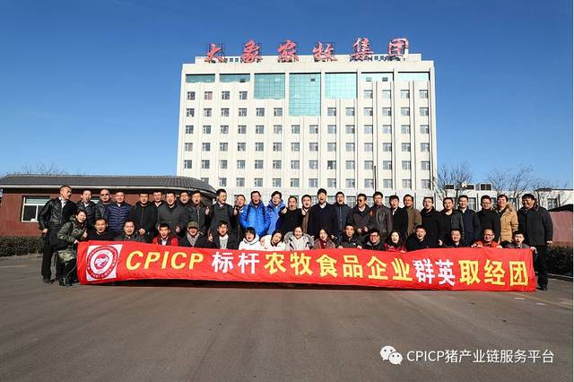 大象食品有限公司图标