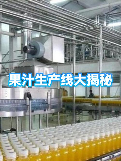 果汁生产线需要投资多少图标
