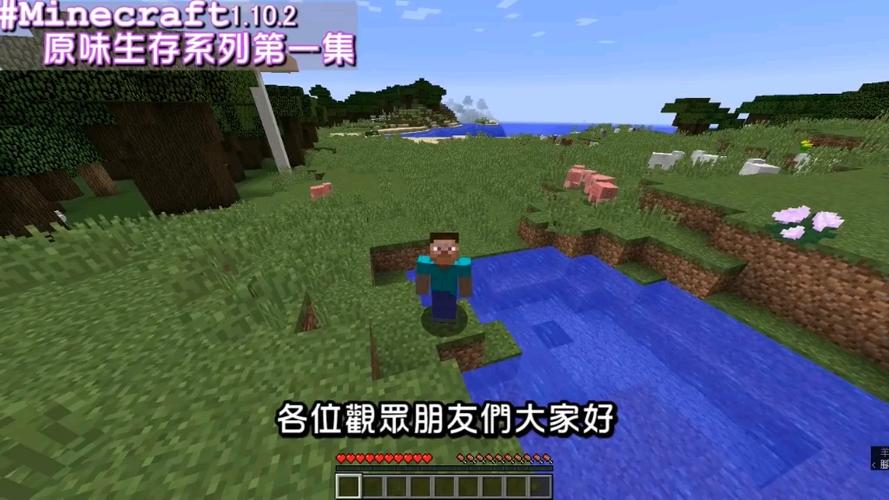 茶杯解说原版生存