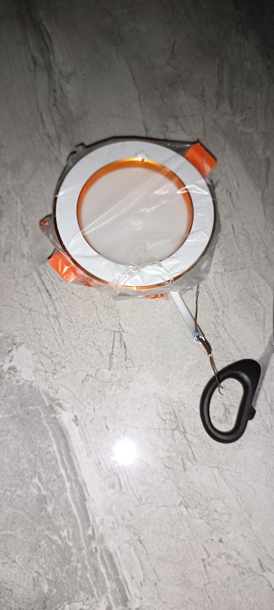 开灯时灯一闪就不亮了