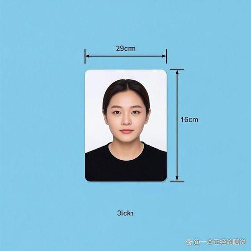 标准一寸照片比例图标