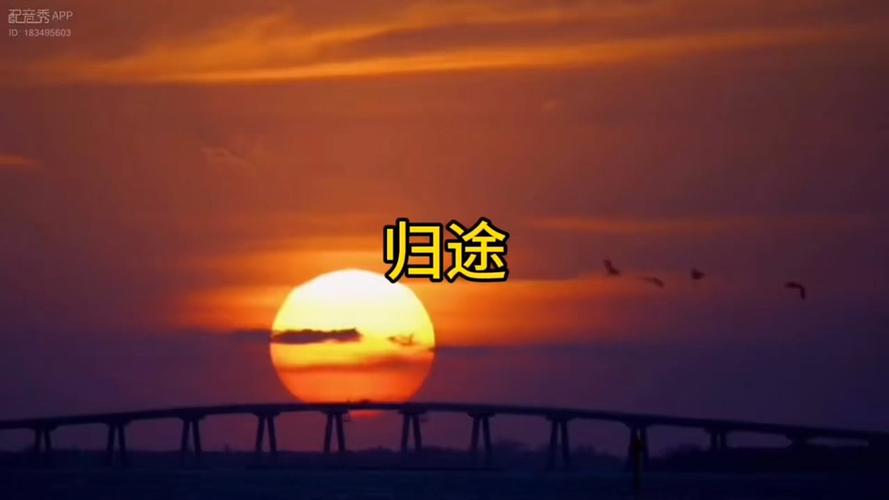 重生到离婚前的小说挽回男主图标