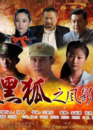 黑狐之风影电视剧迅雷下载图标