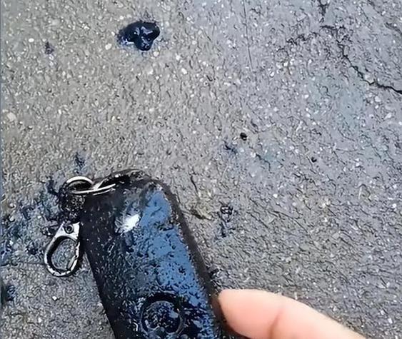 电视遥控器掉水里了
