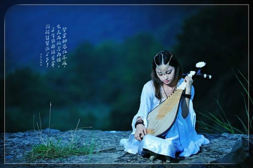 音质最好的音乐软件图标