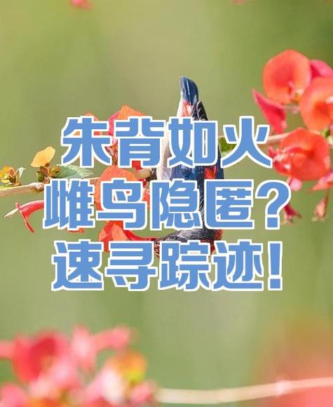 黄钻访客对其隐身访问图标