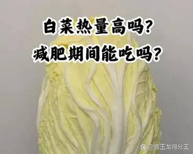 一斤青菜的热量是多少大卡截图