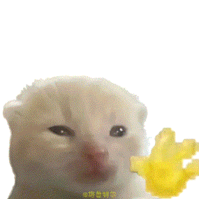 小猫gif动态表情包图标